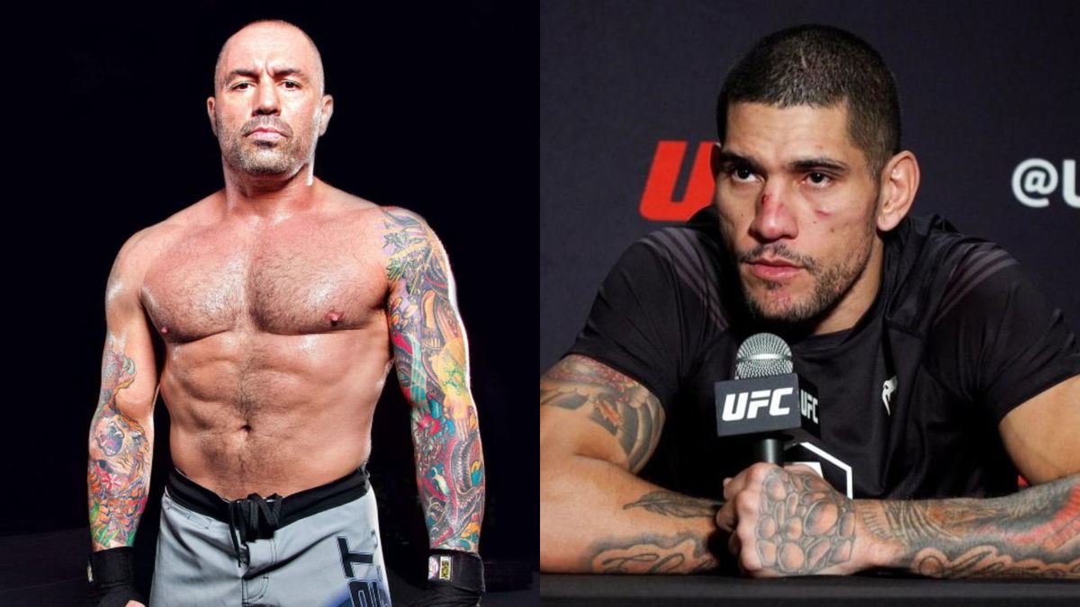 "He Been Working With Glover & GSP" - UFC Fans React as Alex Pereira ...