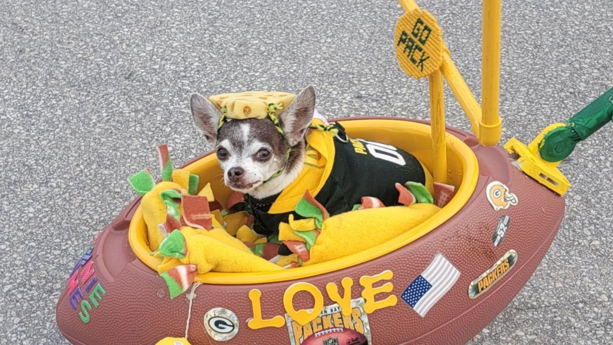 Green Bay Packers Have a New Furry Superfan Vinnie James, and This Pint ...