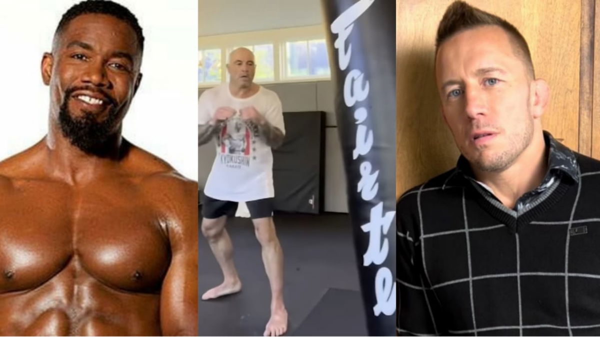 “I Haven’t Seen a Blow From a Human Being That Hard” – UFC GOAT Georges ...