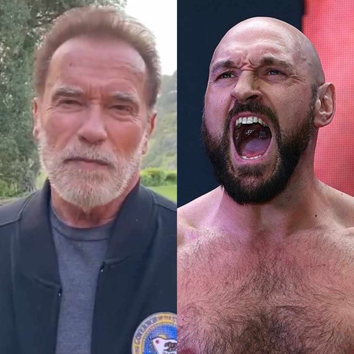 “Had Everything Taken Away From Him”: Arnold Schwarzenegger Applauded ...