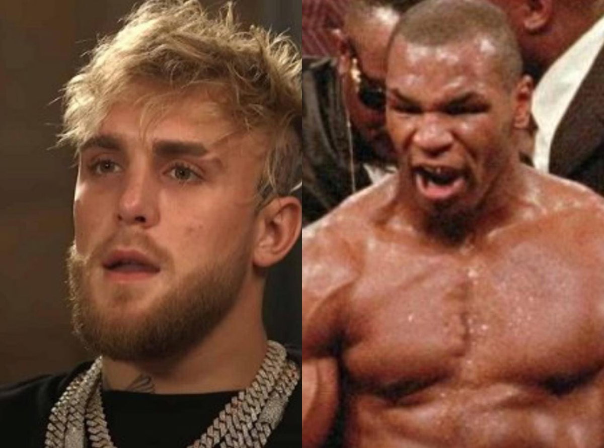 "More Than He Can Chew": WWE Legend Advises Jake Paul Against Calling ...