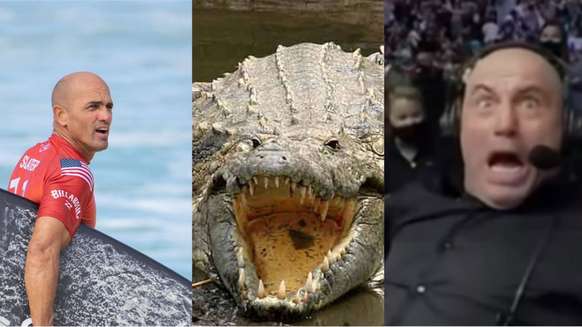 4 Years Before Joe Rogan’s Eyes Wide Open Shot, Surfing Icon Kelly ...