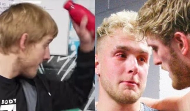 “These Paul Brothers Haven’t Got a Brain Cell Between Them” – UFC Star ...