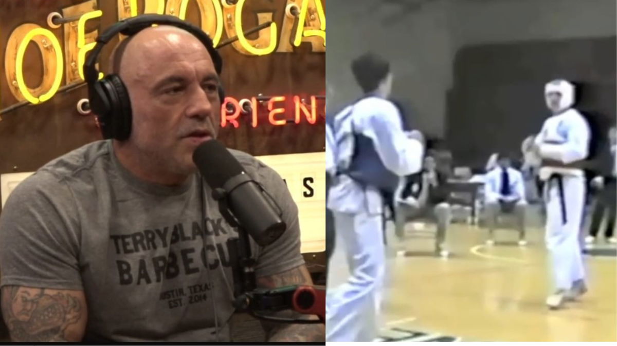 “Its Like They’re Hit by a Car”: Lifelong Martial Artist Joe Rogan ...