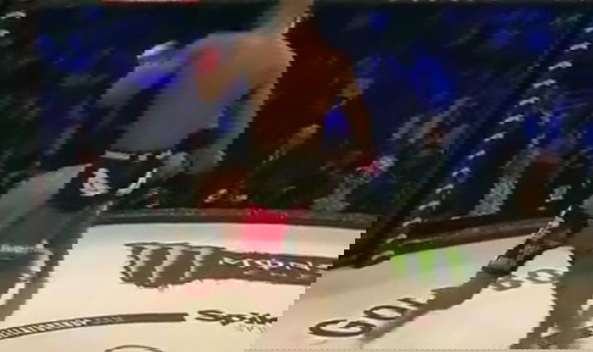 “The Type of Injury Sustained in High Speed Automobile Accident”: Fans ...