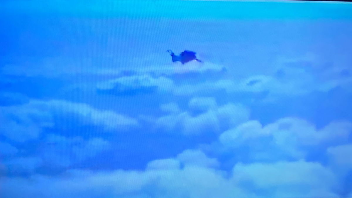 VIDEO: When Sky Diving Went Terribly Wrong After Man Grabs Camera and ...