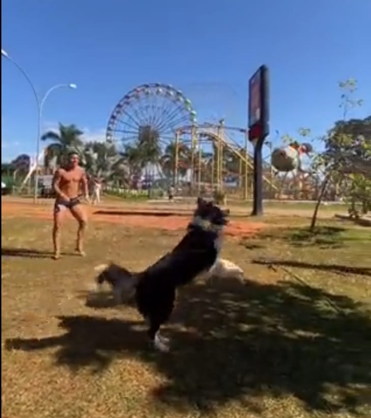 VIDEO: “So Wholesome and Cute” - Dog Dazzles Internet With Heartwarming ...