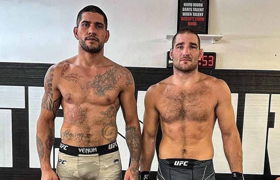 Are Sean Strickland and Alex Pereira Friends? Exploring the ...