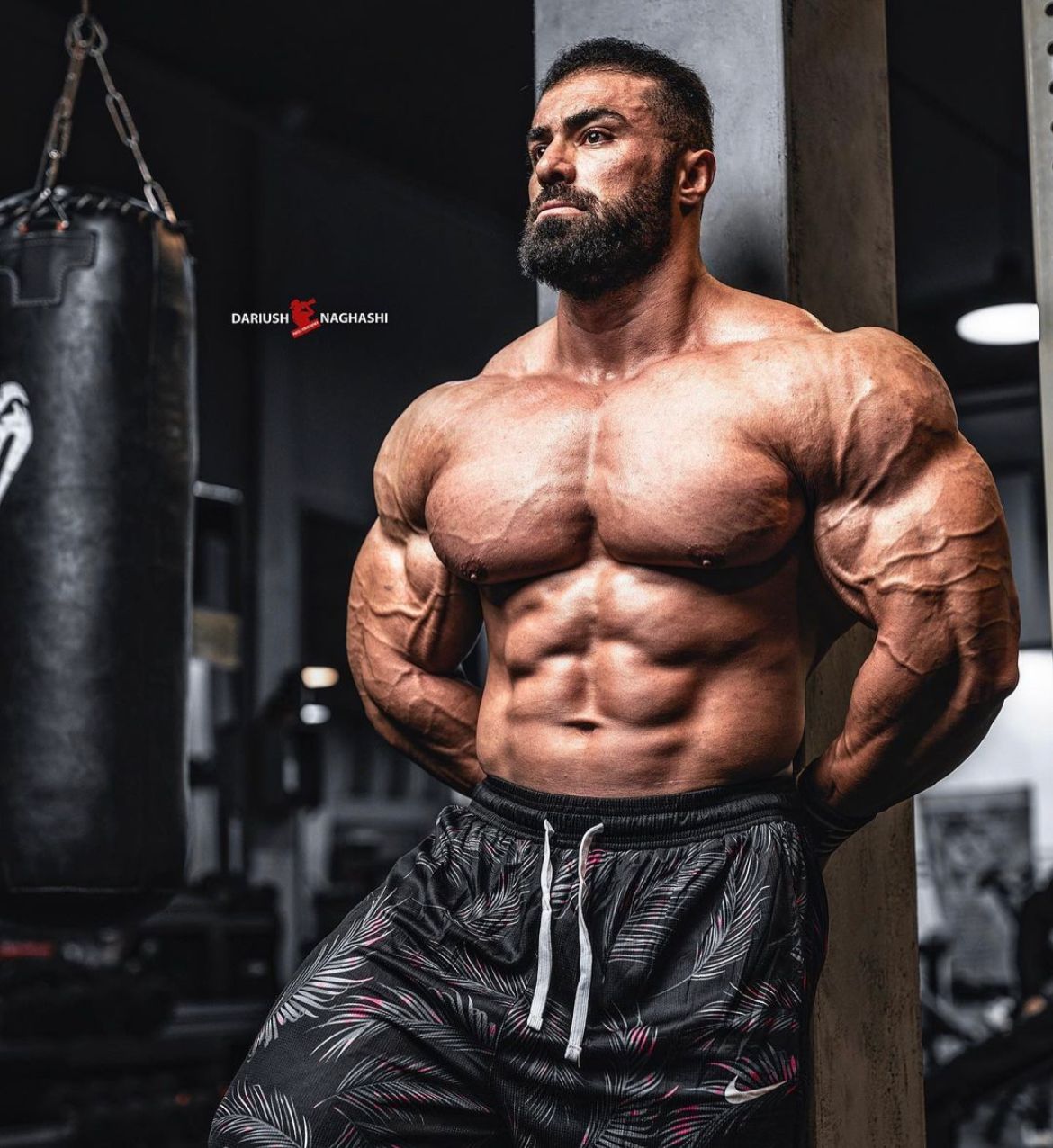 “Tired of the Ungrateful Life”: With 30 Days to Mr. Olympia, Iranian ...