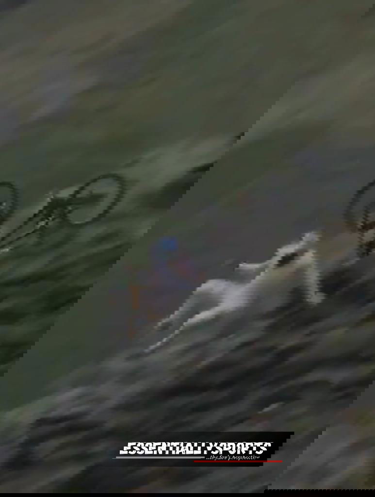 VIDEO: Professional Cyclist Suffers a Brutal Career-Ending Crash as His ...
