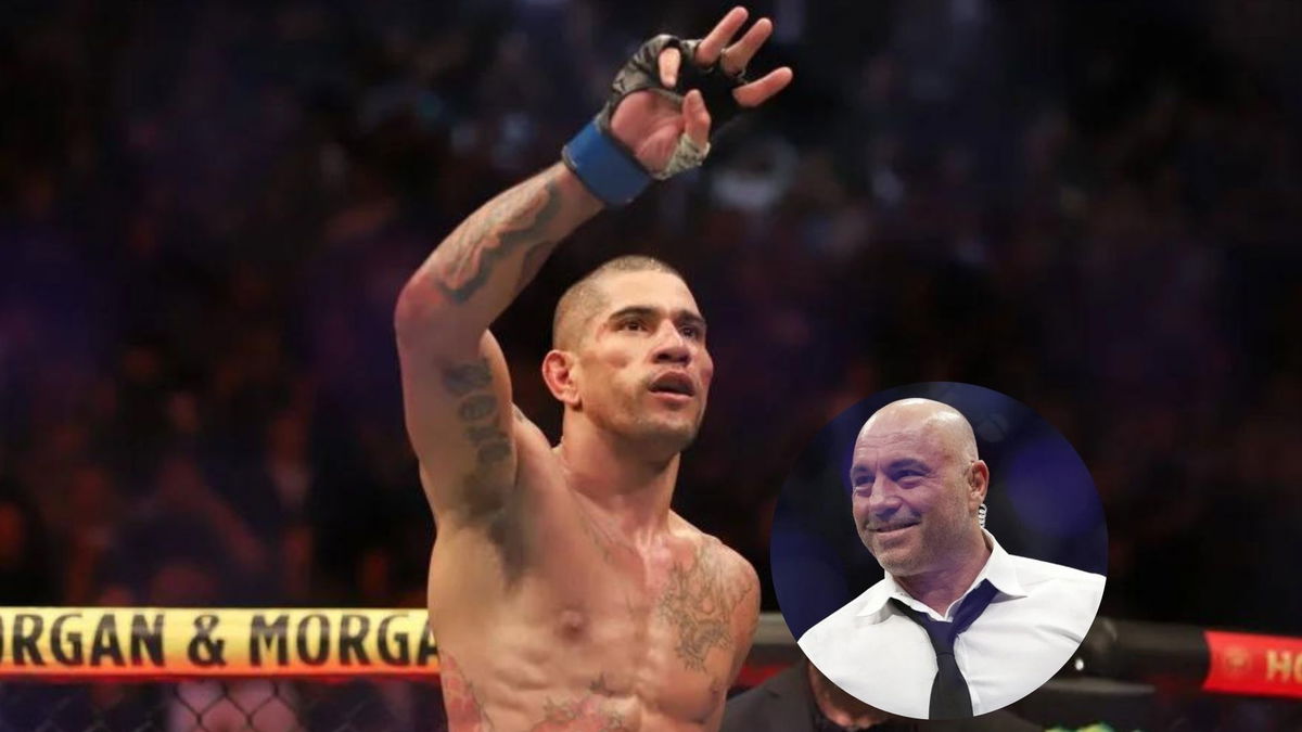 Alex Pereira Gets the Ultimate Show of Respect in Joe Rogan’s ...