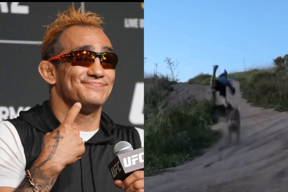 Tony Ferguson Getting “Ankle Picked” by His “As*Hole” Dog (Video ...