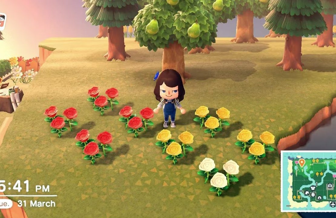 Animal Crossing Flower Color Chart - Design Talk
