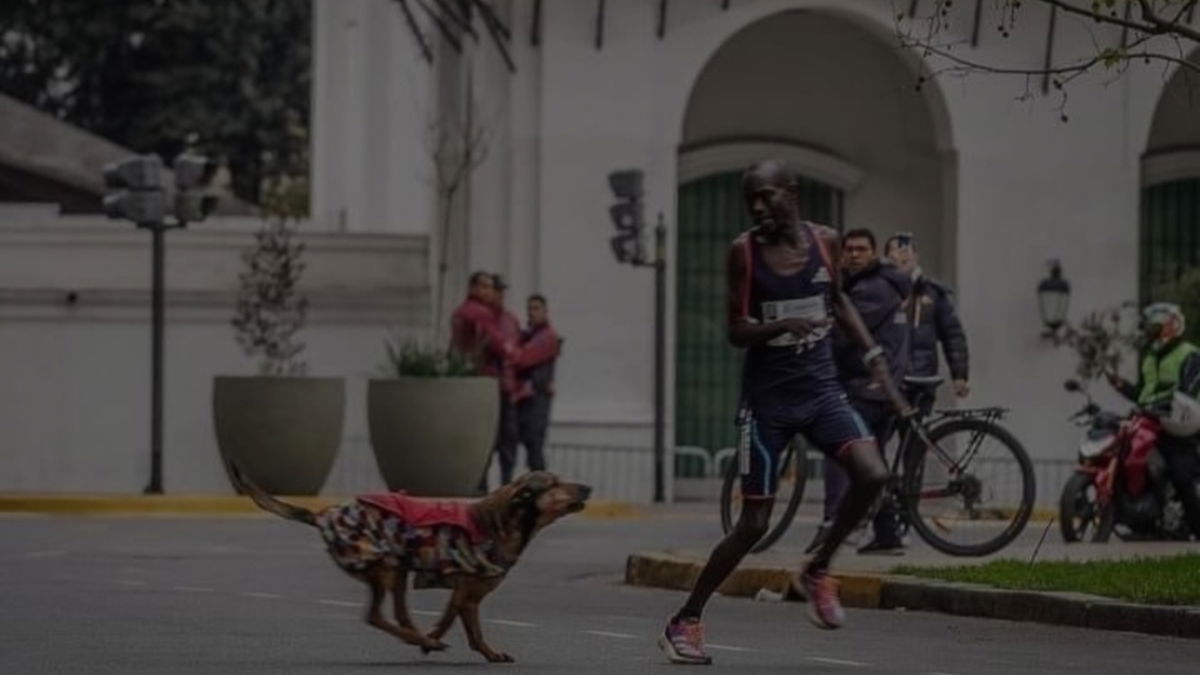 Tragedy Strikes Track and Field World as Marathon Runner Fights for His ...