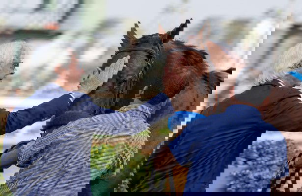 Bob Baffert's All Smiles as Zedan Stables Get $2.9 Million Worth Horse ...