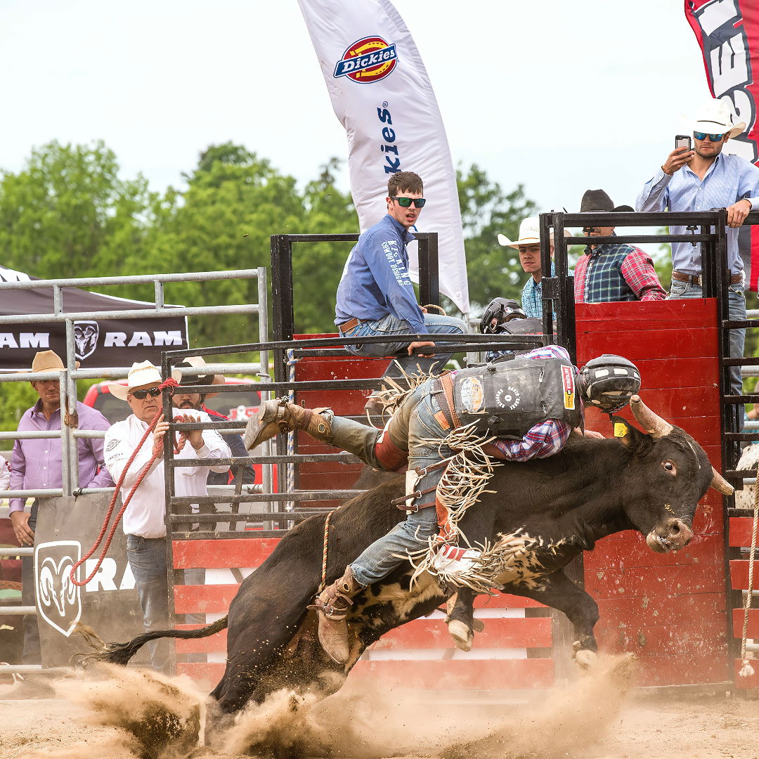Video: Young Rodeo Sensation Shines as Kansas City Outlaws Dominate ...