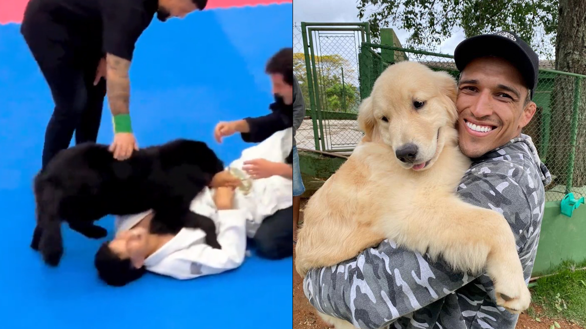 “Dog-Ueira Jiu-Jitsu!” – Charles Oliveira and Fans Reacts as Dog ...