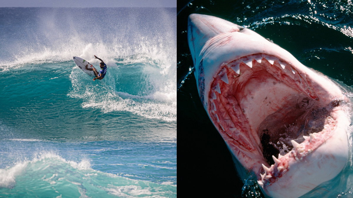 “Shark Took Part of My Leg”: 29-Year-Old Surfer Is All Set to Narrate ...