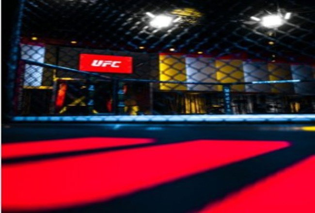 “Terrible UFC” – Fans Go Berserk as UFC Makes a Bold Move Because of ...