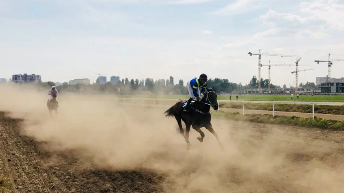 “Summer’s Olympic Games”: USEF Unveils Exciting Updates to Equestrian ...