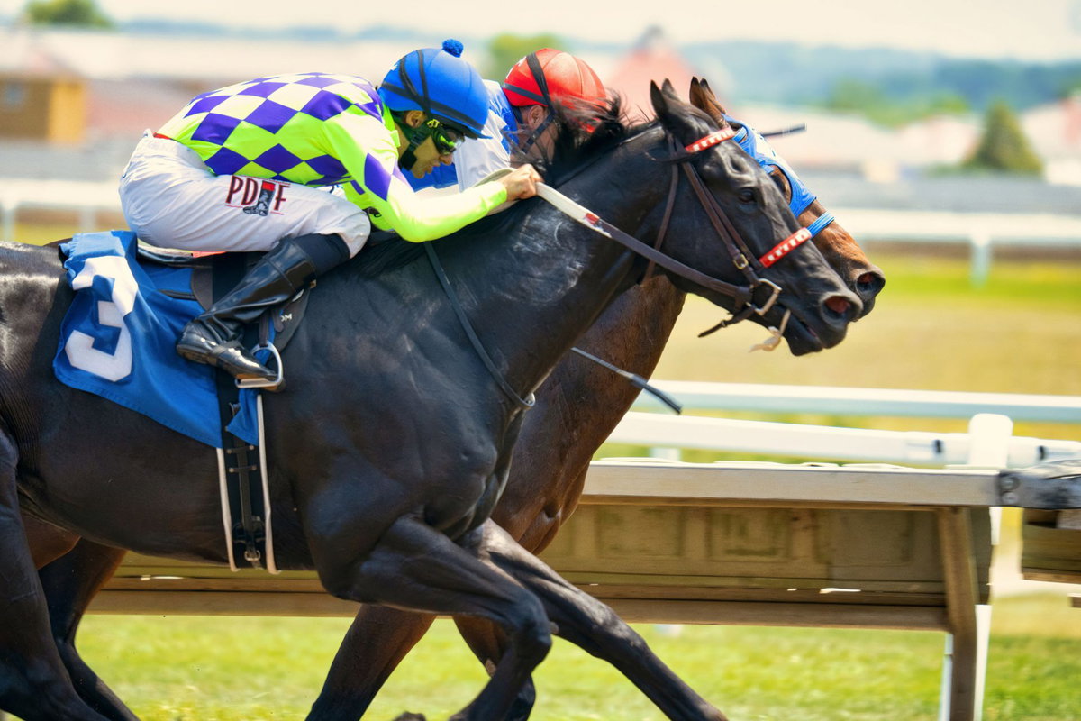 Making a Post-Surgery Comeback, Equestrian Jockey Ends 6 Month Drought ...