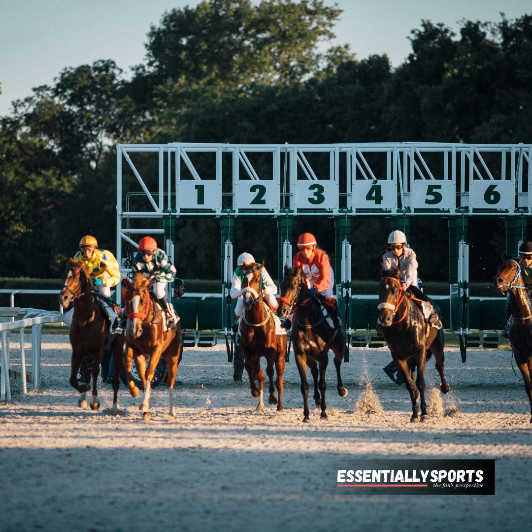 Pennsylvania Equestrian Center Takes Measures Amid Challenges at ...