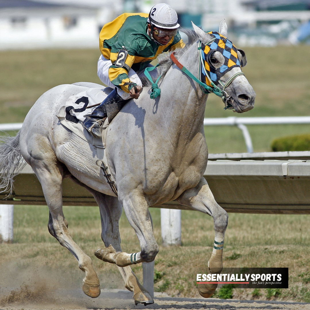 “Live Through Pressure”: Equestrian Jockey Notches Historic 5,000th ...