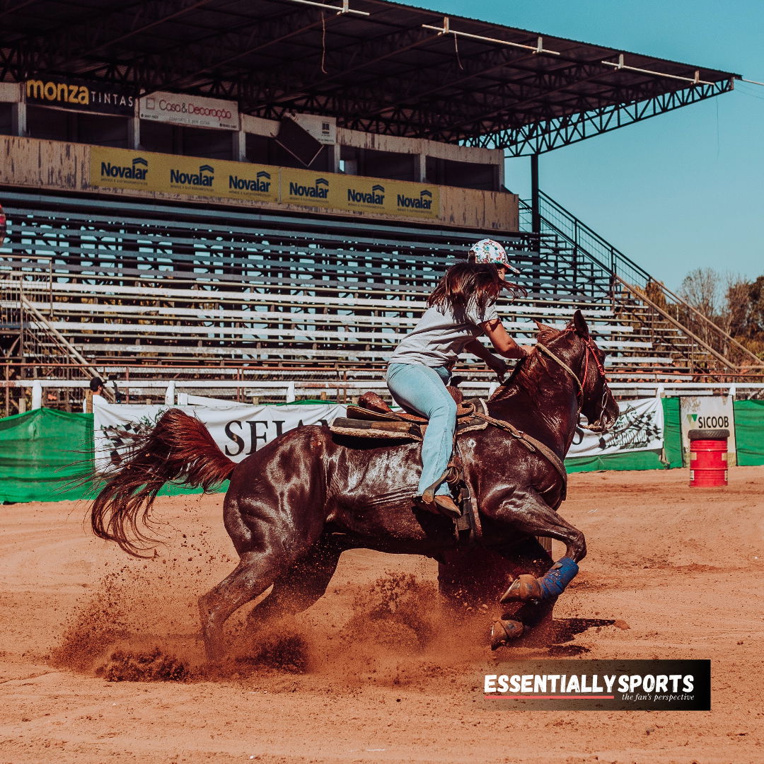 “Just as Strong”: Debut Rodeo Qualifier Hit by Setback as Beloved Horse ...