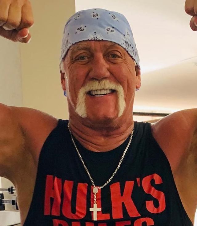 Hulk Hogan 24 Zoll Pythons