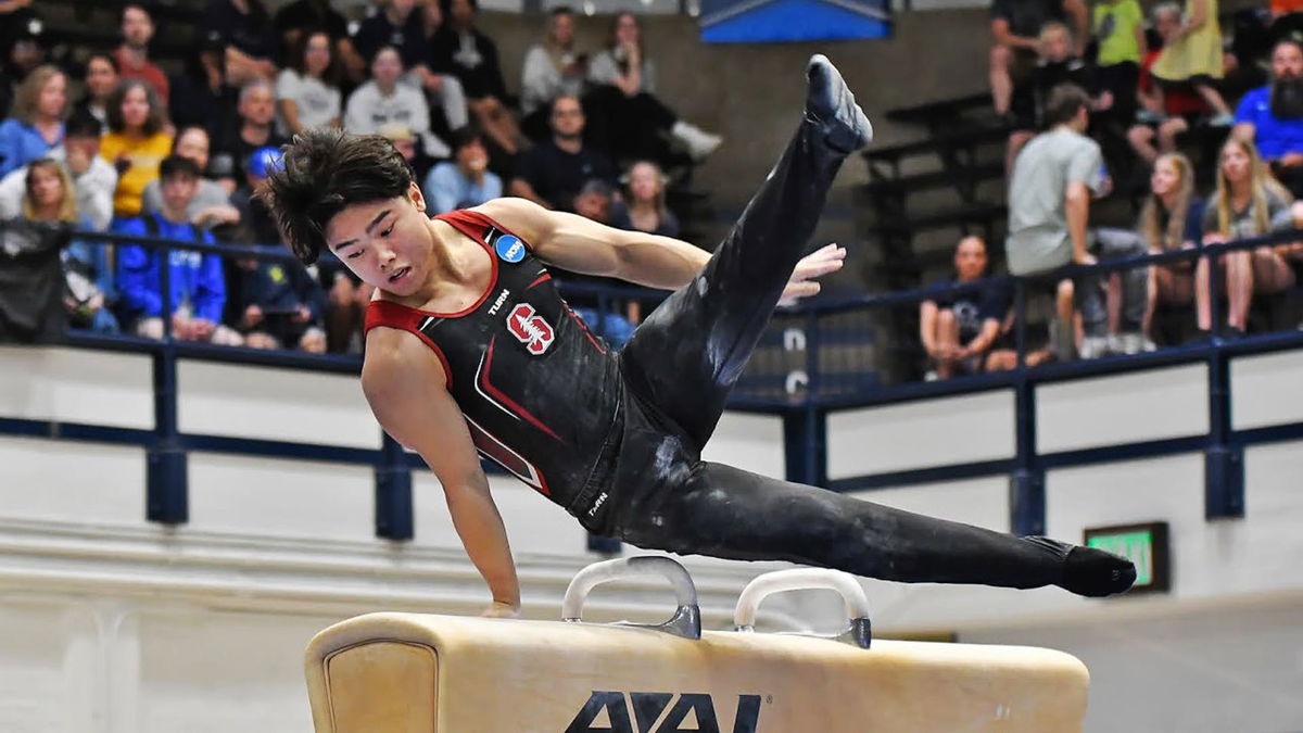 Who Are Asher Hong's Parents? Everything You Need to Know About the ...