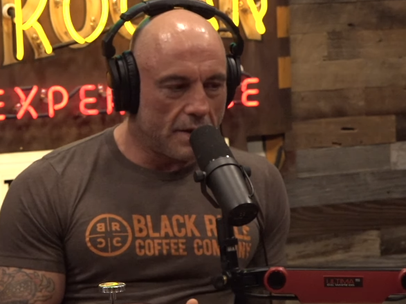 “Near-Death Experience”- After Martial Arts Changed His Life, Joe Rogan ...