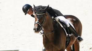 “Nothing but a Small Wound”: 7x Olympic Gold Medalist Equestrian Opened ...