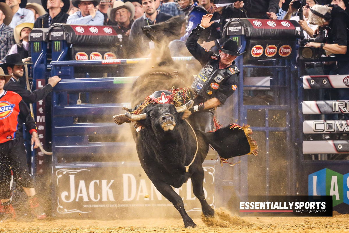“I Did a Flip”: 6-Year-Old Bull Riding Prodigy From North Texas Shocks ...