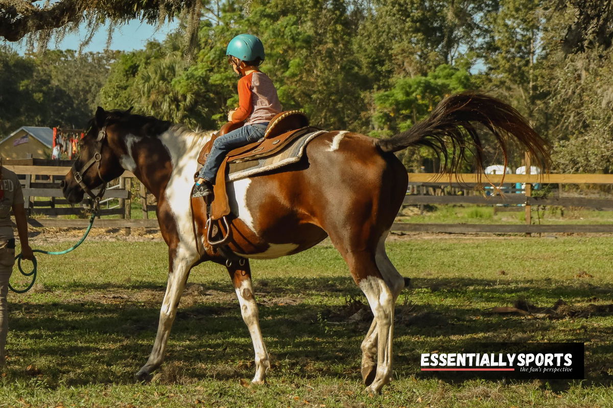 “Like Swimming”: Thrill-Seeking Equestrian Discovers Love in a Unique ...