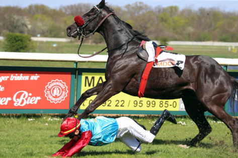 Timothy J. Hennen Archives - EssentiallySports