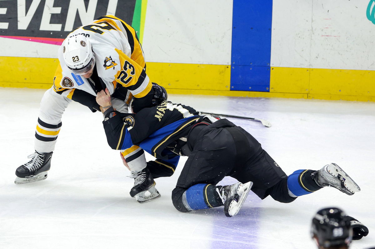 Hockey Fans Stunned as Kids’ Game Turns Chaotic During AHL Intermission ...