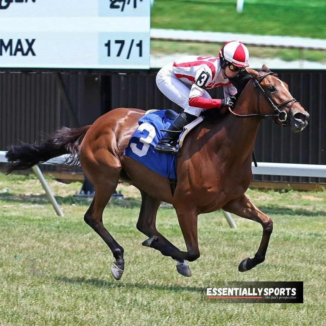 Jockey Maddy Olver Gets Emotional After Clinching First Stakes Win- Get ...