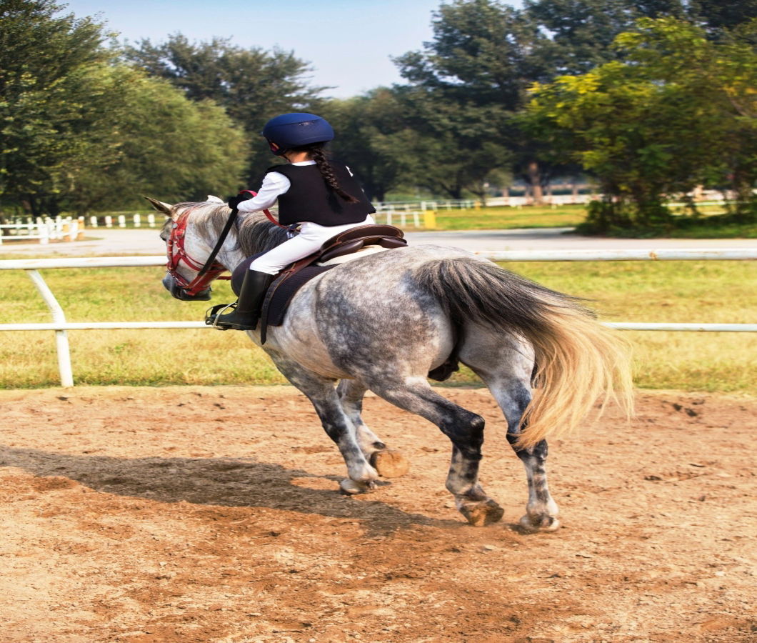 Popular Equestrian Center Uplifts the Spirit of Resilient 7-Year-Old ...