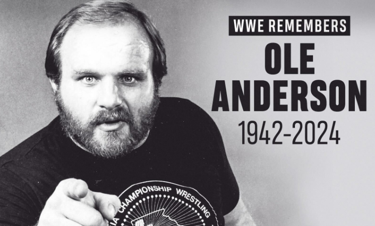 Who Was Ole Anderson? Here’s All You Need to Know About the Former Four ...