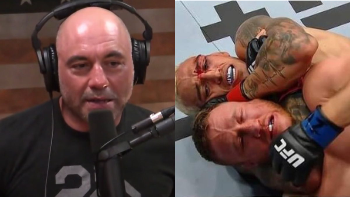 ‘Holy S***’: BJJ Devotee Joe Rogan Expresses the Rush He Gets Watching ...