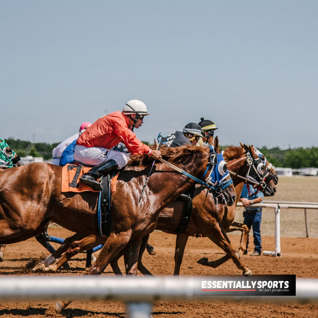 "Never Gets Tired": Renowned Equestrian Event Witnessed Son of US ...