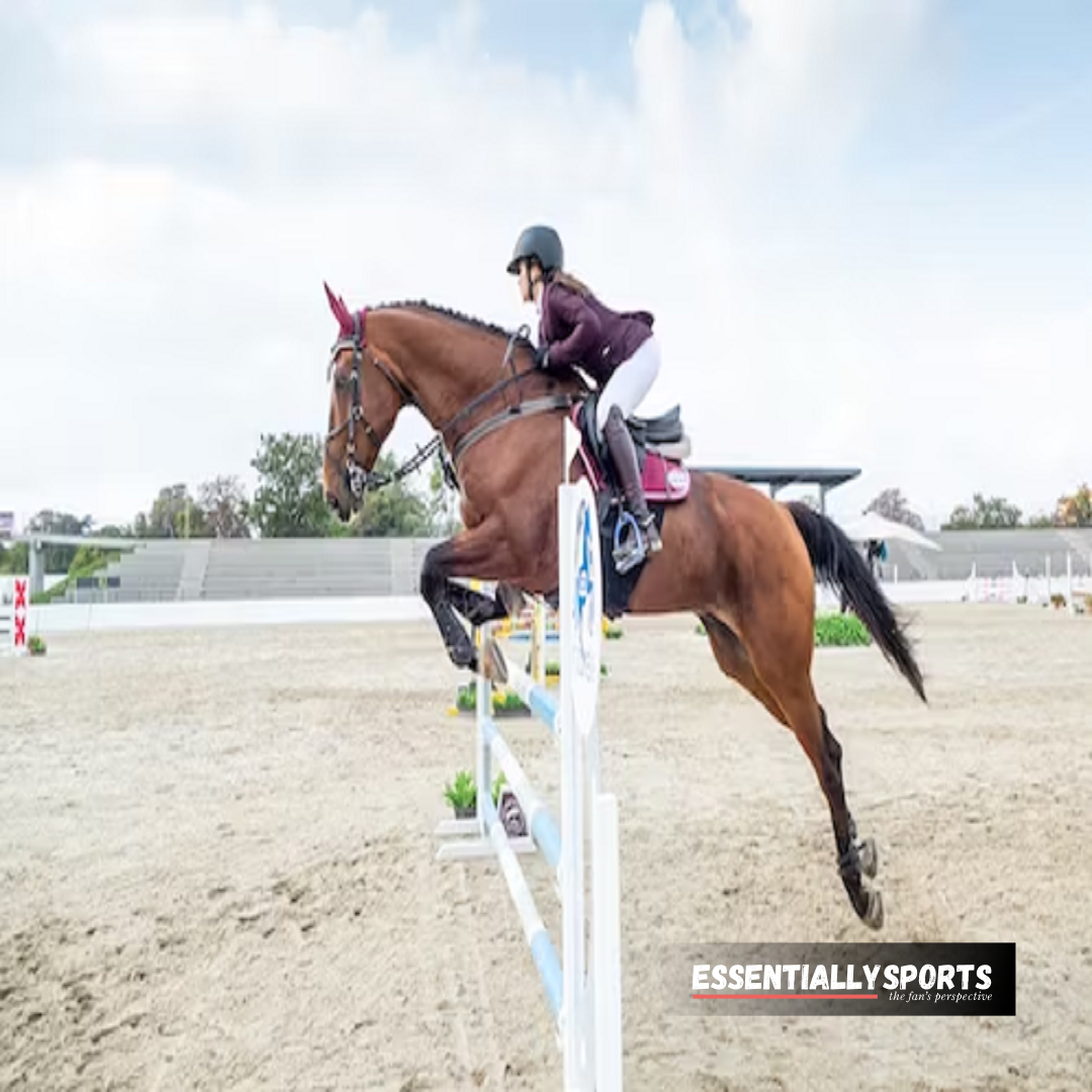 Equestrian Olympian Faces Off Against Rodeo World Championship ...