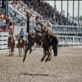 Dalton Massey Archives - EssentiallySports