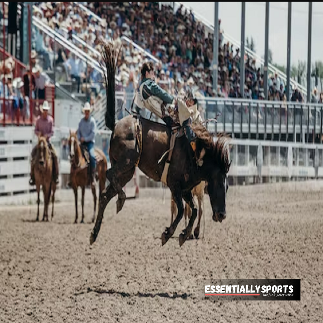 Kentucky Welcomes Professional Bull Riding Championship as Grand Finale ...