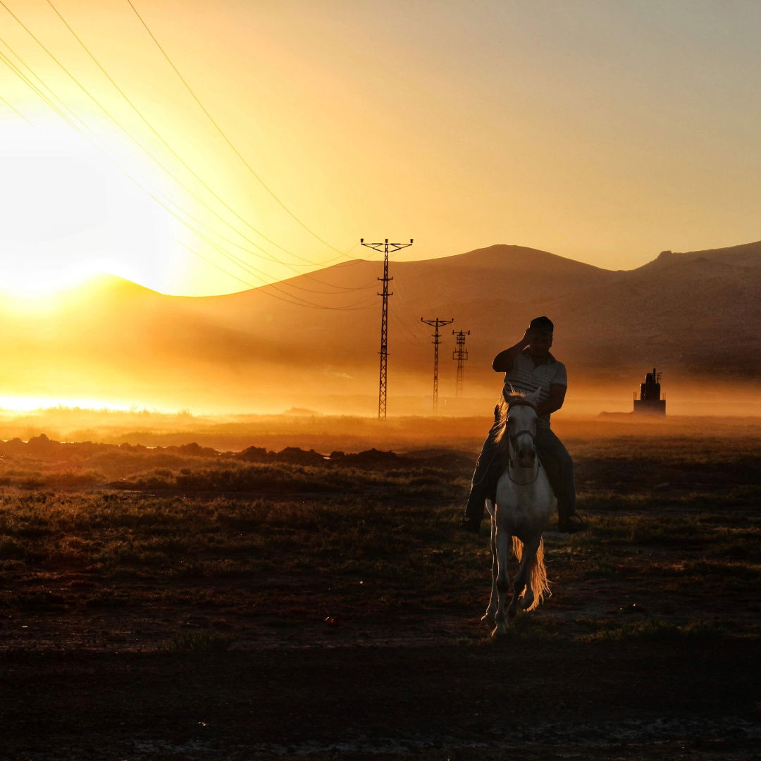 Rodeo World Witnessed the Passing of 75-Year-Old Florida Born Legend ...