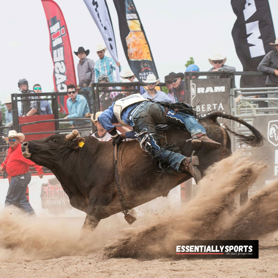 "Crashed In the Area": After Rodeo Sensation, Joe Rogan Admits ...